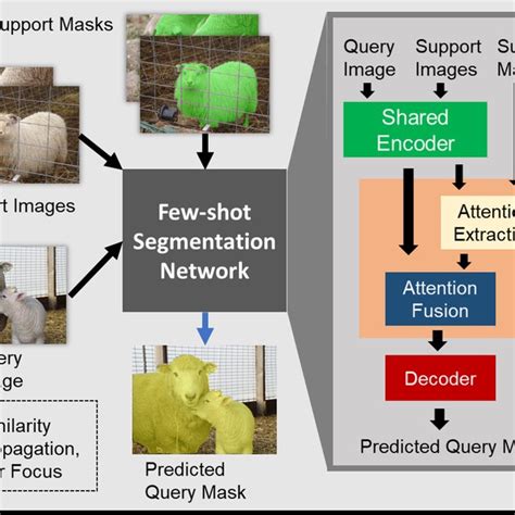 Few Shot Image Segmentation Broad Architecture Of Contemporary Methods