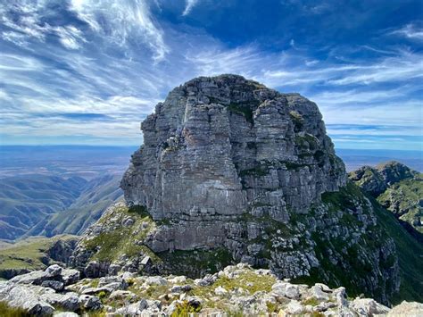 Cockscomb Groot Winterhoek
