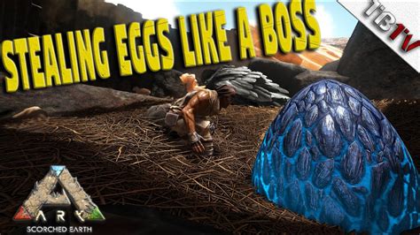 Ark Max Level Wyvern Egg