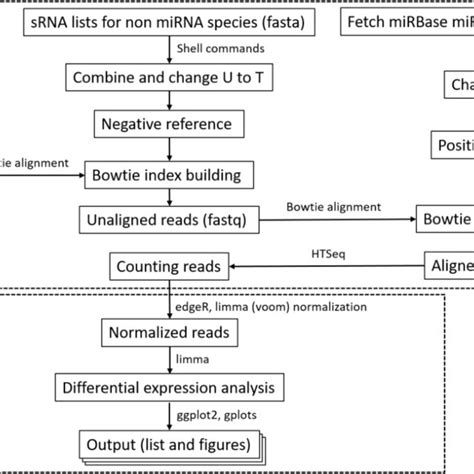 A Flowchart Depicting The General Rna Seq Data Processing And Analysis