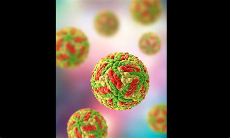 First Us Death From Powassan Virus Sparks Concerns About Tick Borne Disease