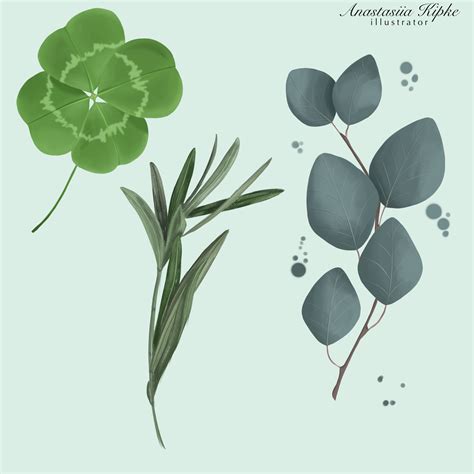 Иллюстрация Ботаника в стиле 2d, академический рисунок, графика,