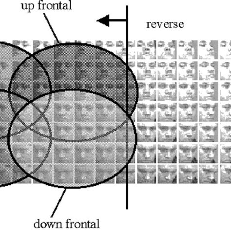 Modelling Multi View Faces Only Four Detectors Need To Be Constructed Download Scientific