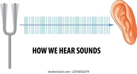 Tuning Fork Science Images Stock Photos D Objects Vectors Shutterstock