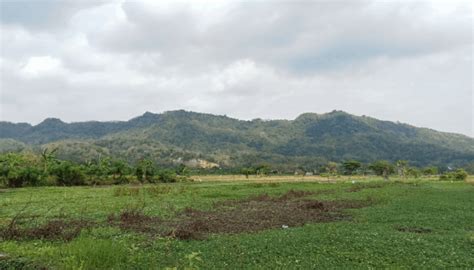 Simplifying Land Conversion In Maharashtra The Maharashtra Land
