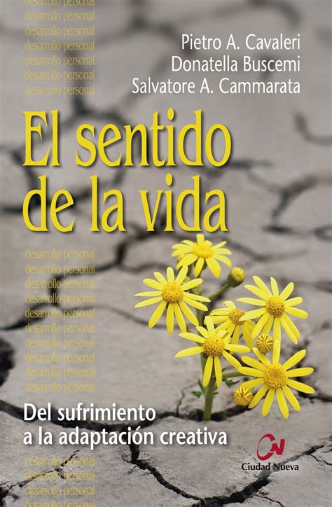 Las Hermosas Enseñanzas De La Biblia Pdf Descargar Cómo Enseñar