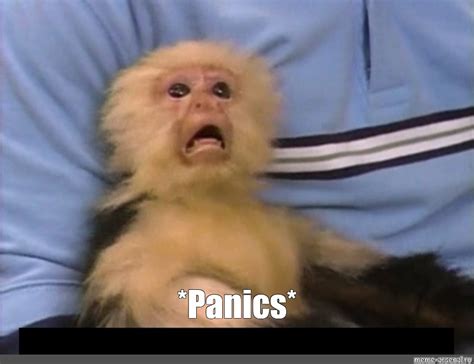 Meme Panics All Templates Meme