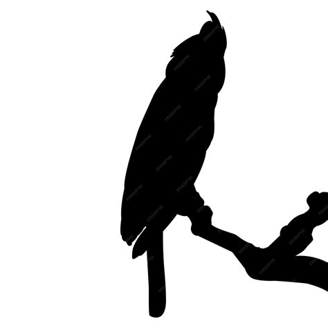 Premium Vector Shillouette Bird And Vector Illustration