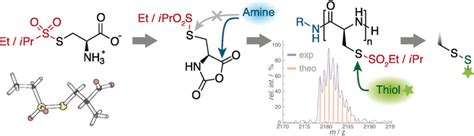 S L Chemistry A European Journal X Mol