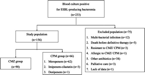 Efficacy And Safety Of Cefmetazole For Bacteremia Caused By Extended
