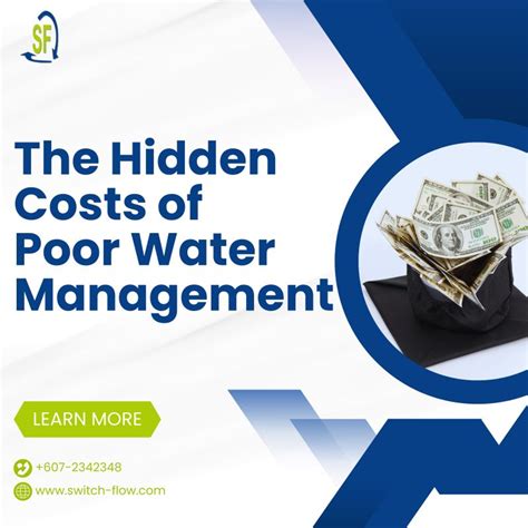 How To Address Water Management Hidden Costs Switch Flow Resources