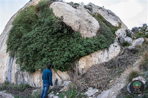 Cima Y Circular Del Puig Campana M S All De La Ciudad