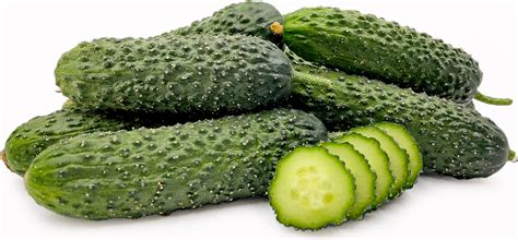 Marinda Cucumbers Information and Facts