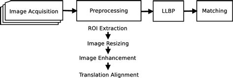 Figure 2 From Finger Vein Recognition Using Local Line Binary Pattern
