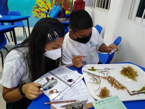 Ciencia En Acci N Ciudadanos Navegando En El Arribaz N Divulgacion