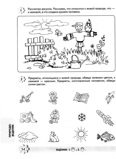 Карточки живая и неживая природа для дошкольников - 64 фото