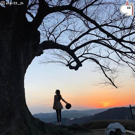 나만 알고싶은 꿀팁 영화 엽기적인 그녀 촬영지 부여 성흥산성 사랑나무🌳 커플들끼리 인생 스냅샷