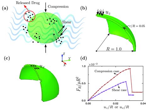 Fracture Of A Spherical Shell Subjected To Compression And Shear A Download Scientific