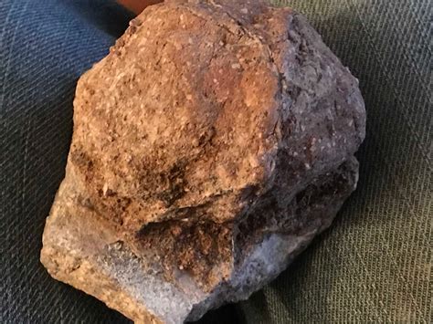 Is This A Fossilized Egg Fossil Id The Fossil Forum