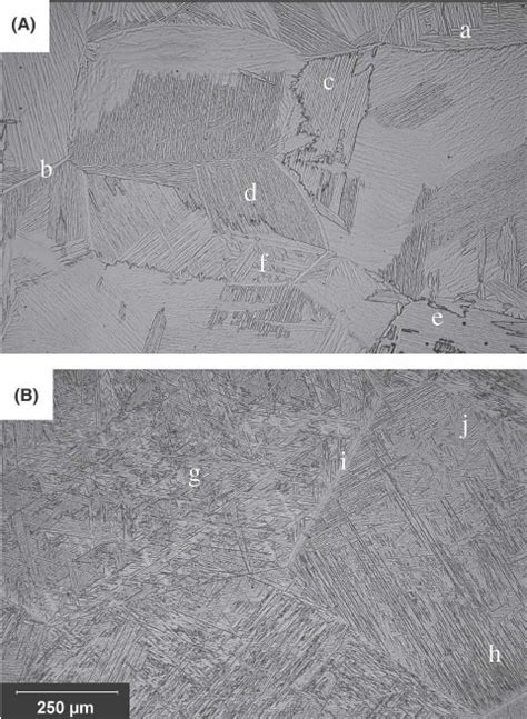 A Typical Microstructure Of Vanadium Free Samples Containing A