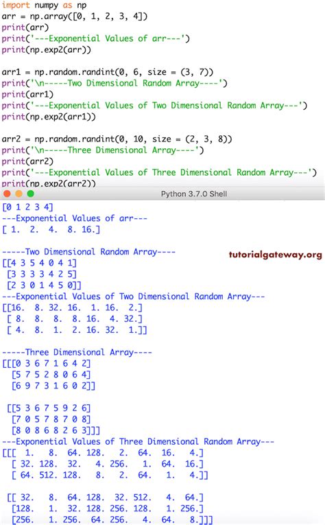 Python Numpy Exponential Functions