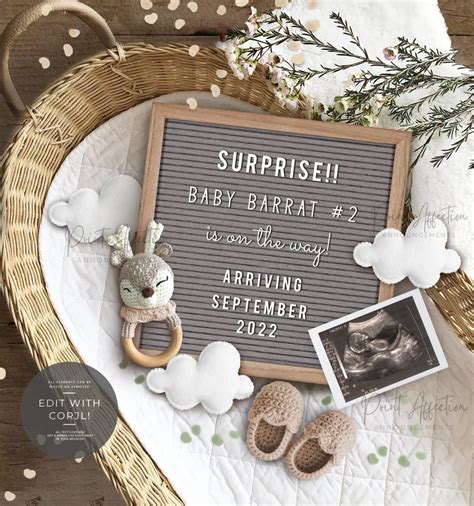 Pregnancy Announcement Ideas Digital Pregnancy Announcement Etsy Artofit