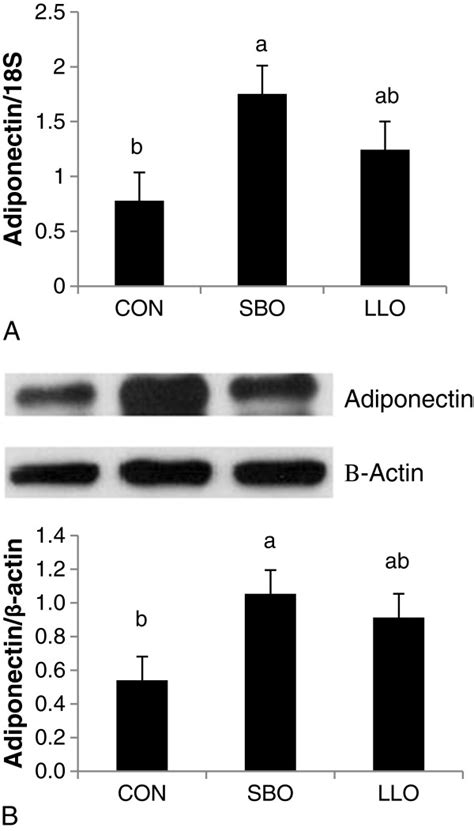 Adiponectin Gene Expression In Subcutaneous Fat Depot Expression Of Download Scientific