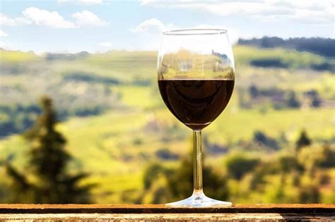 Tuscan Wine Guide History Taste And Drinking Tips