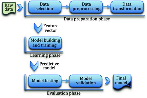 4 Phases Of Classification Download Scientific Diagram