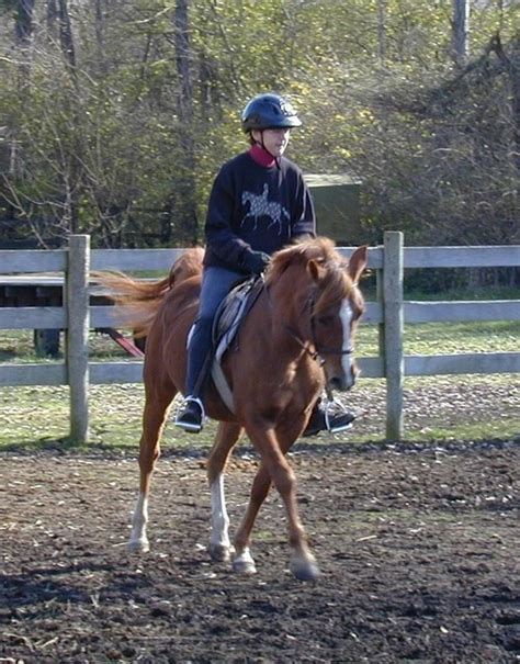 Priscilla Schmidt Pmschmidt Twitter