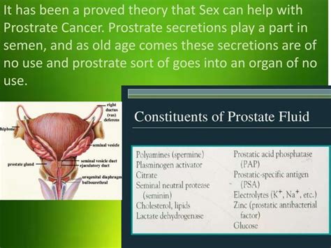 Geriatric Sex Ppt