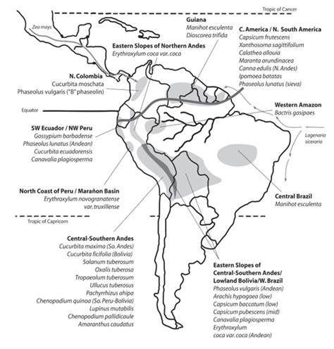 Sweetpotato Central Sweetarmor
