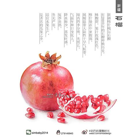 手绘新疆美食系列之新疆水果