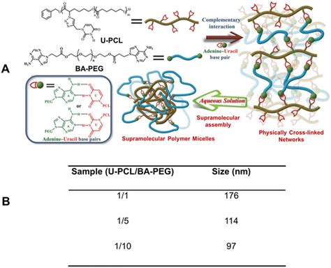 Nucleobase Containing Polymer Architectures Controlled By Supramolecular Interactions The Key
