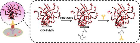 This Work Described An Electrochemical Immunosensor For Ultrasensitive