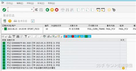 Sap运维034fi汇率评估报错