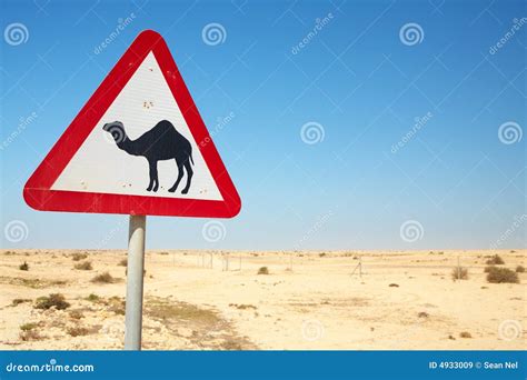 Camel Warning Sign Stock Image 4933009
