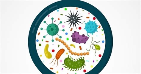 유해균 잡는 프로바이오틱프로바이오틱스 유산균 고르기 어떻게