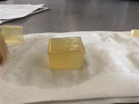 Diffusion In Agar Cubes Lab Laurens Blog