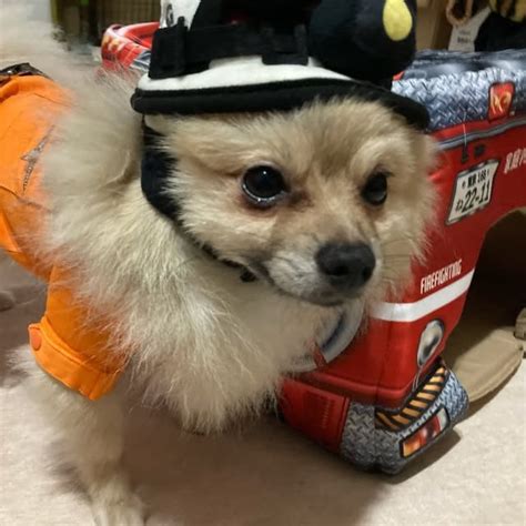 間違いは誰にでもあるよ🥺隣人が警察に通報する前に一言大丈夫ですか？って聞いてあげたらいいのに？ 私も昔旦那と買い物して雨が降って来て車に乗っ