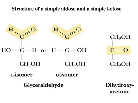 Ppt Comprehensive Guide To Carbohydrates Structure Function And