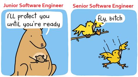 When You Join A New Project Rprogrammerhumor