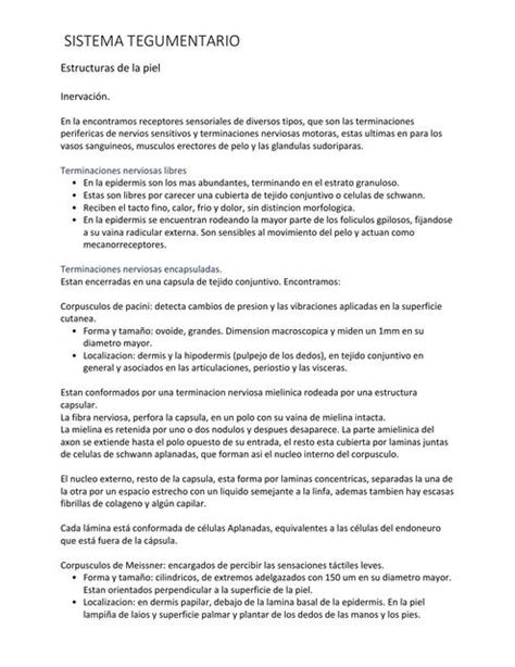 Sistema Tegumentario Genesis Guerrero Sierra UDocz