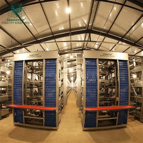 H Type Battery Layer Chicken Cages Automatic Poultry Farming Chicken