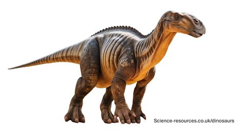 Science Uk Dinosaur Facts Dinosaurs Found In Africa
