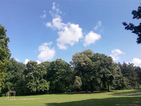 Playing Field With Green Grass And Trees Behind Stock Image Image Of Field Green 265566345