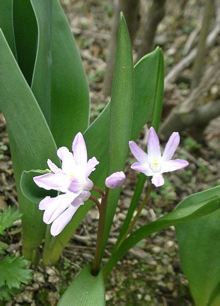 好きによむ 『共喰い』田中慎弥