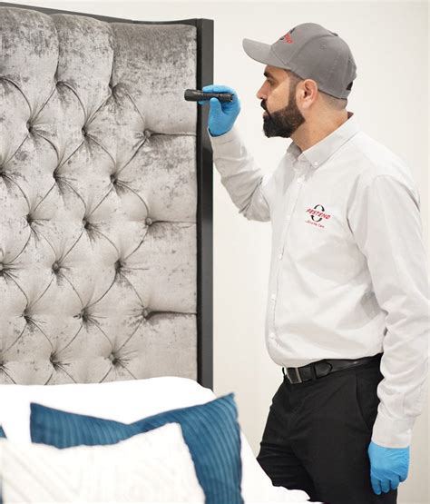 Pest Control Barrie Ontario Licensed Exterminators Pestend