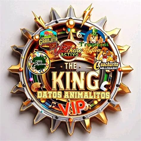 Abelt3 Abelt 8936 • Threads Say More