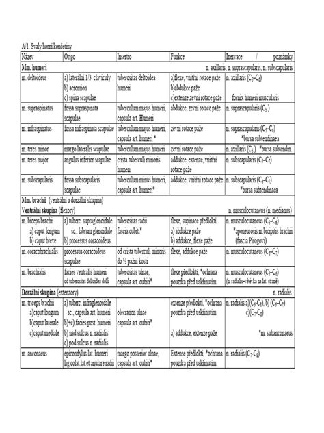 Svaly Horni Koncetiny Pdf